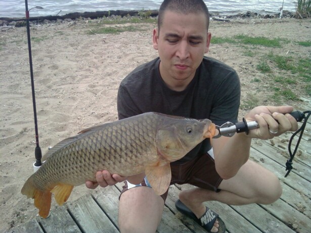 Illinois Wisconsin Fishing: carp fishing (fox chain of lakes, il)